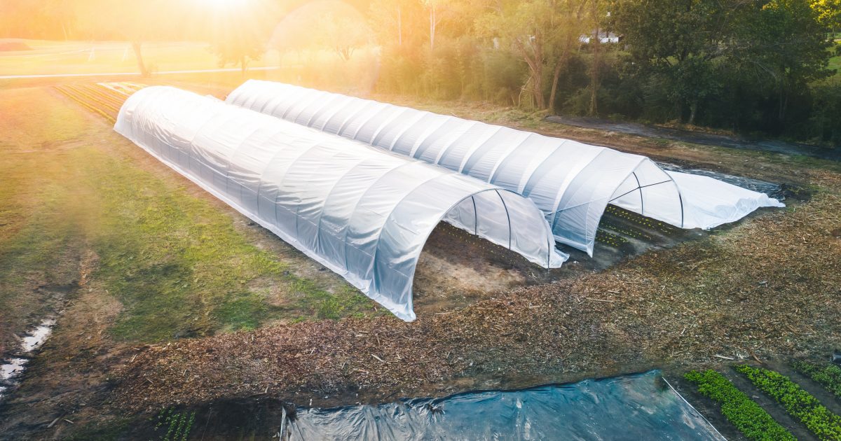 Caterpillar Tunnel | Farmers Friend